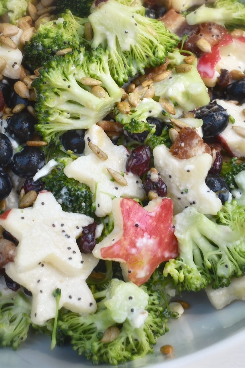 Broccoli Party Salad with Creamy Poppyseed Dressing ⋆ SomeTyme Place ⋆