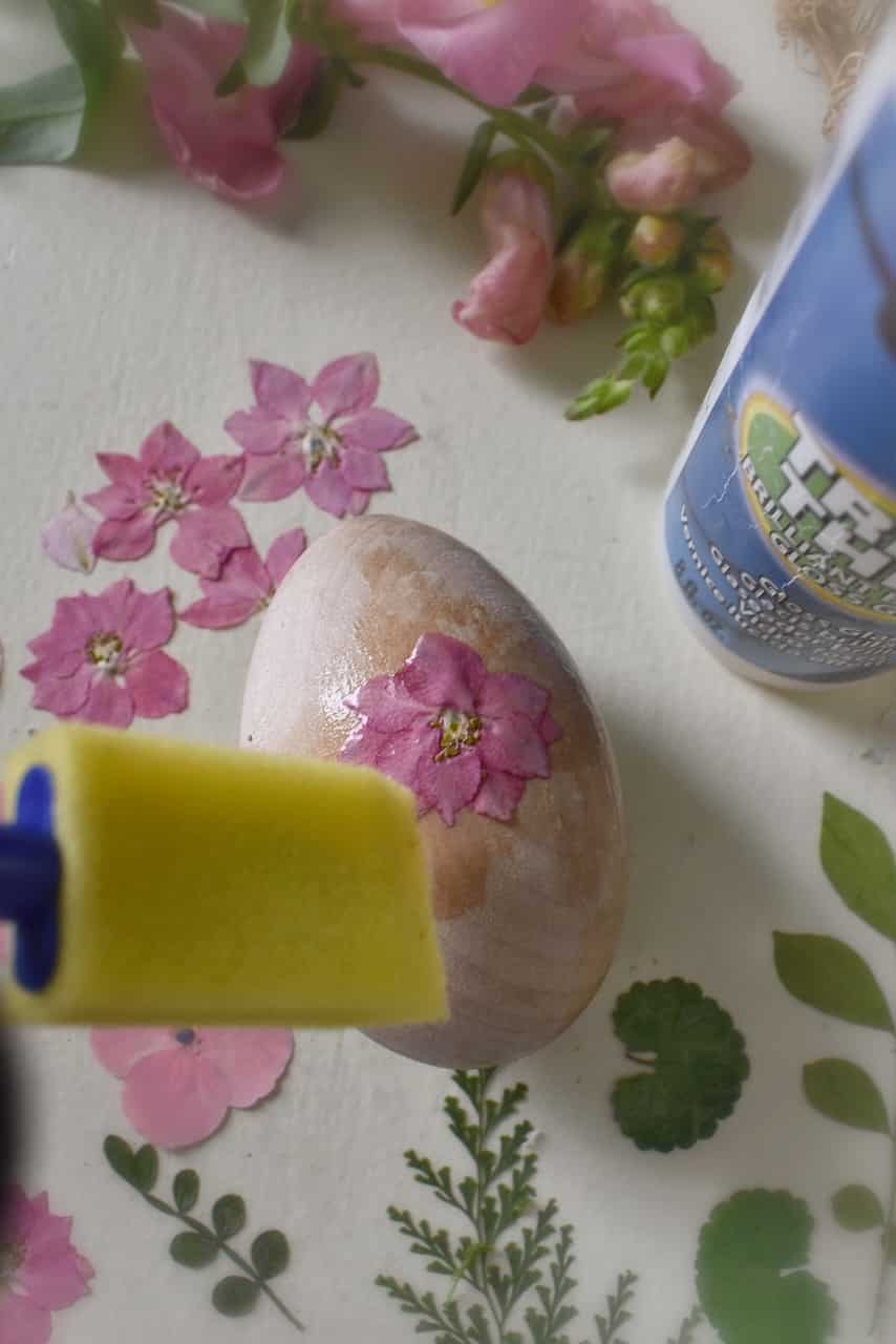 Decorate Easter Eggs with Dried Flowers ⋆ SomeTyme Place