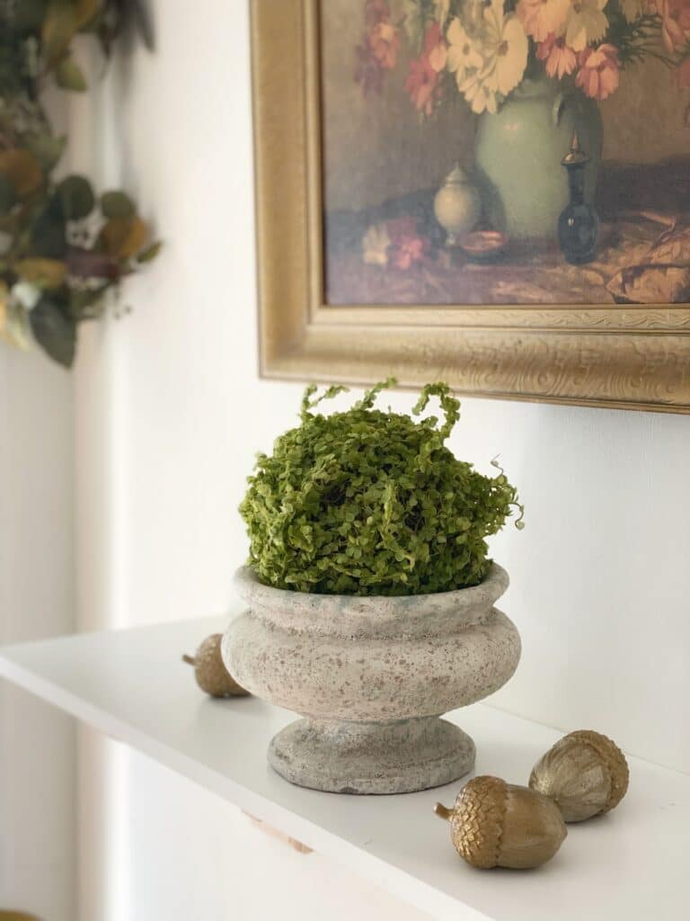 Autumn at Hidden Bluff 2023: Entryway Decor ⋆ SomeTyme Place